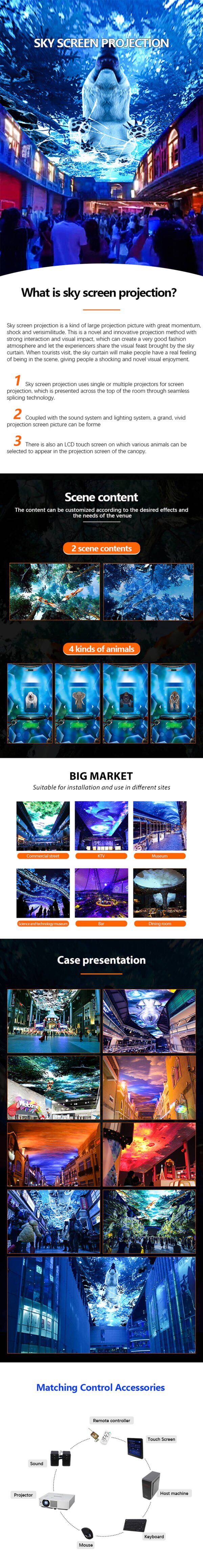 Sky Screen Projection-ZS Projector Solutions